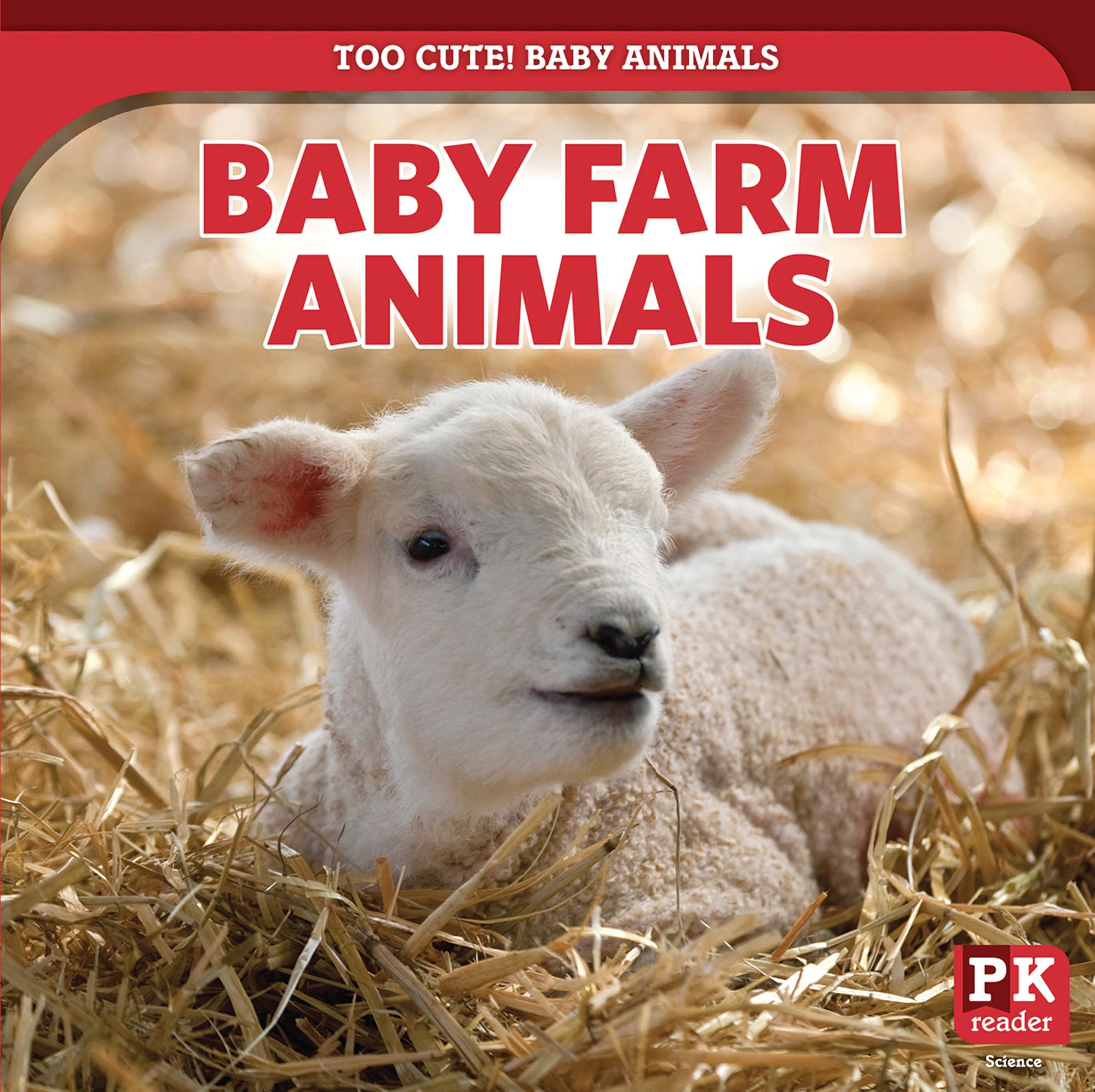Baby Farm Animals Pictures Baby Animals: On The Farm Scholastic Shop
