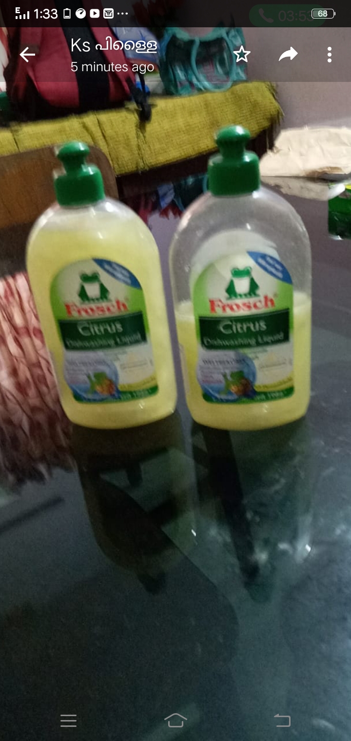 Frosch Citrus Dish Washing Liquid - 500 ml : Amazon.in: Health ...