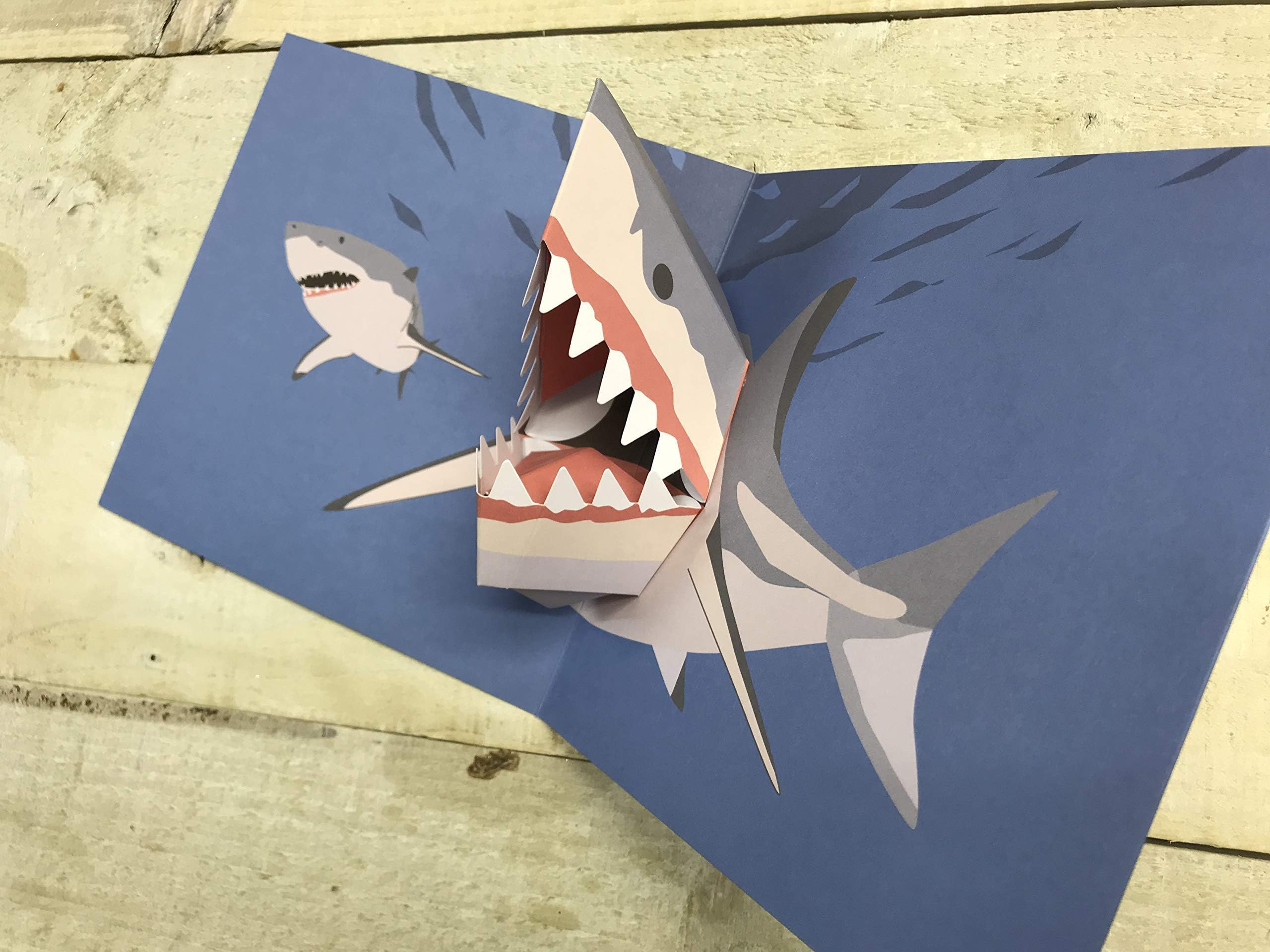 Shark POP-UP Card - Sea Creatures : Amazon.co.uk: Stationery & Office ...