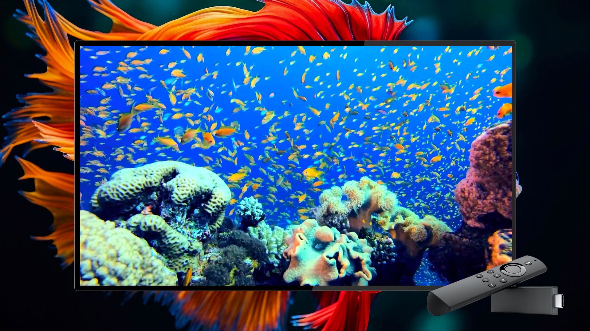 Coral Serenity - Sleep Meditation Screensaver for Fire Tablets & Fire ...