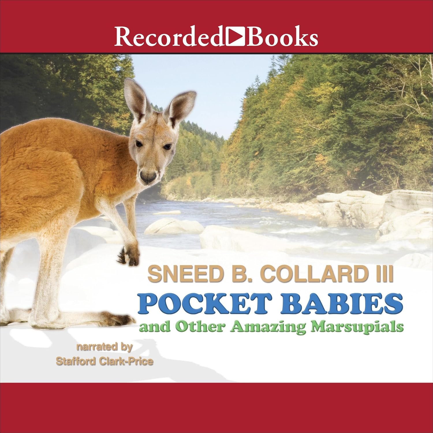 Amazon.com: Pocket Babies and Other Amazing Marsupials (Audible Audio ...