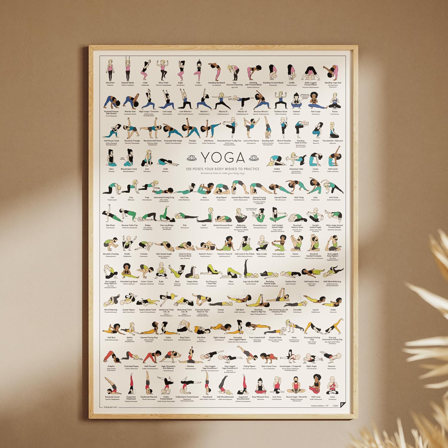 Amazon.com: FOLLYGRAPH Yoga Poster New Edition - 150 Asanas - Yoga Gift ...