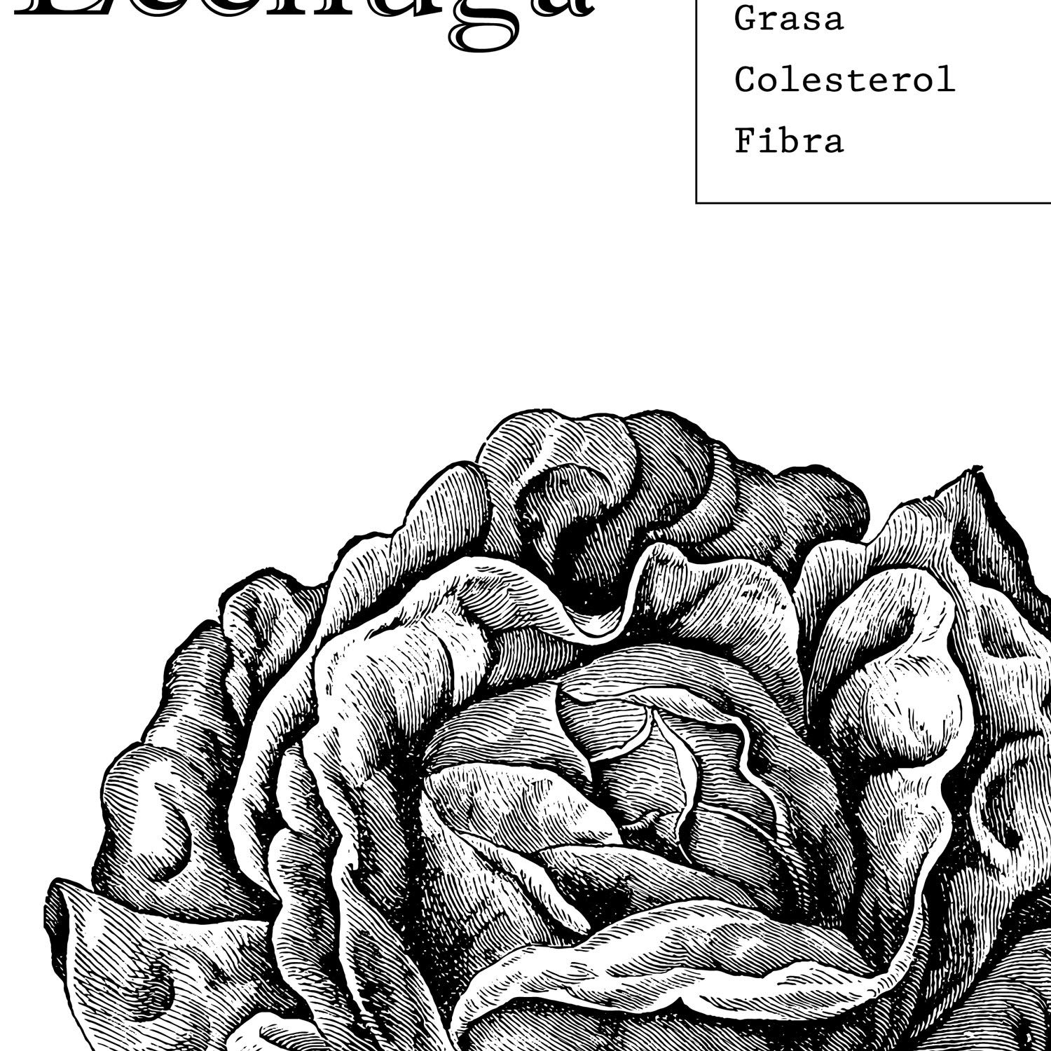 Lettuce Poster Nacnic. Pictures of fruit and vegetables. A4 size – BigaMart