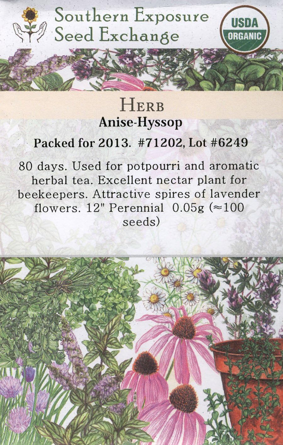 Amazon.com : Honeyman Farms Anise-Hyssop Seed Packet : Herb Plants ...