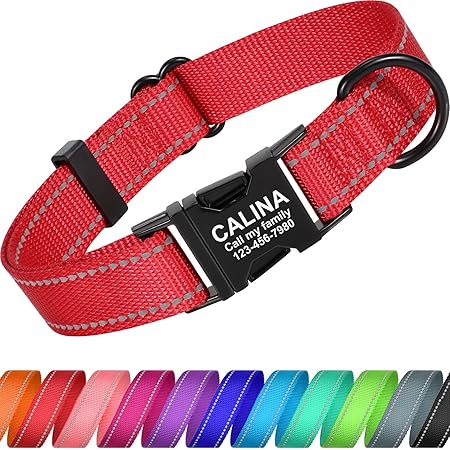 Oncpcare Personalisiertes Hundehalsband, reflektierend, graviert, mit ...