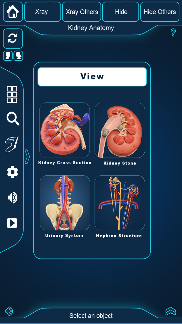 Kidney Anatomy Pro. - App on Amazon Appstore