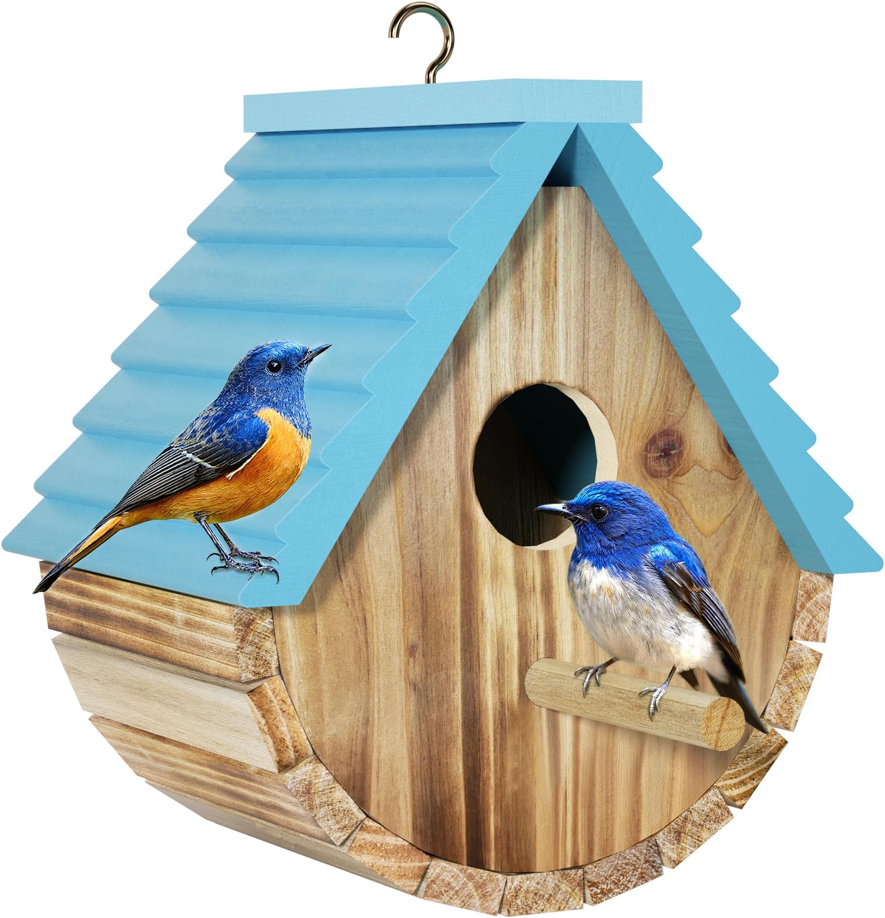 Amazon.com : SuperMoss (56010) Raindrop Birdhouse with Chain, 10 by 13 ...