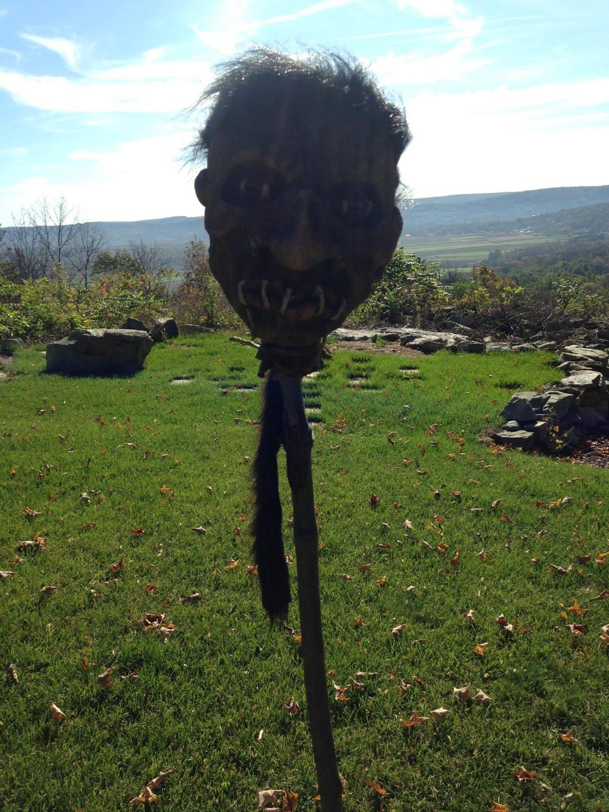 Amazon.com: Zagone Studios Large Shrunken Voodo Head Witch Doctor ...