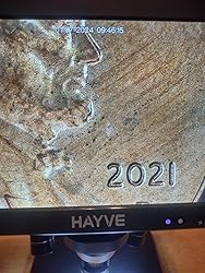 Amazon.com : Hayve DM12 10.1'' HDMI Digital Microscope, 2000X Coin ...
