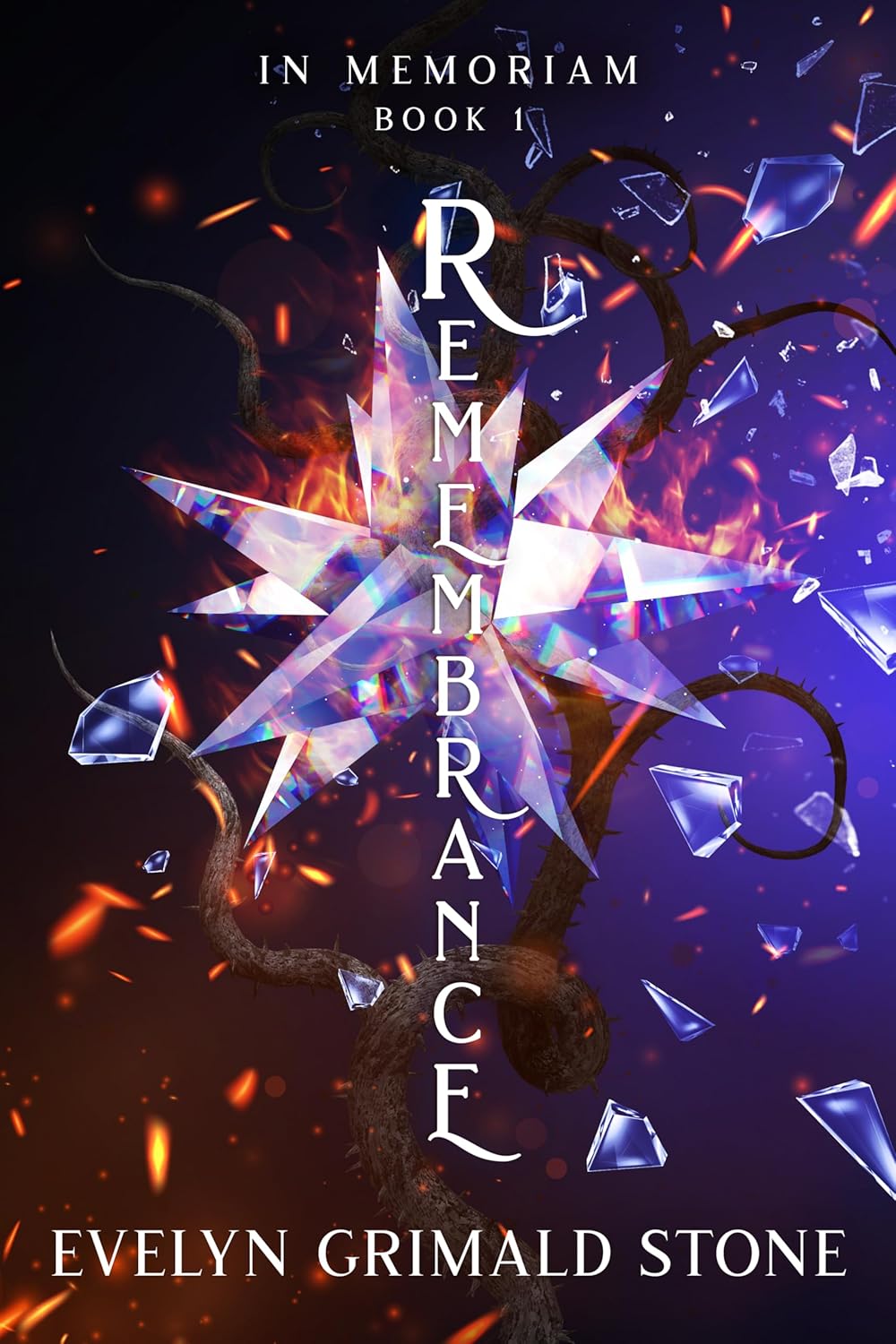 Amazon.com: Remembrance (In Memoriam Book 1) eBook : Stone, Evelyn ...