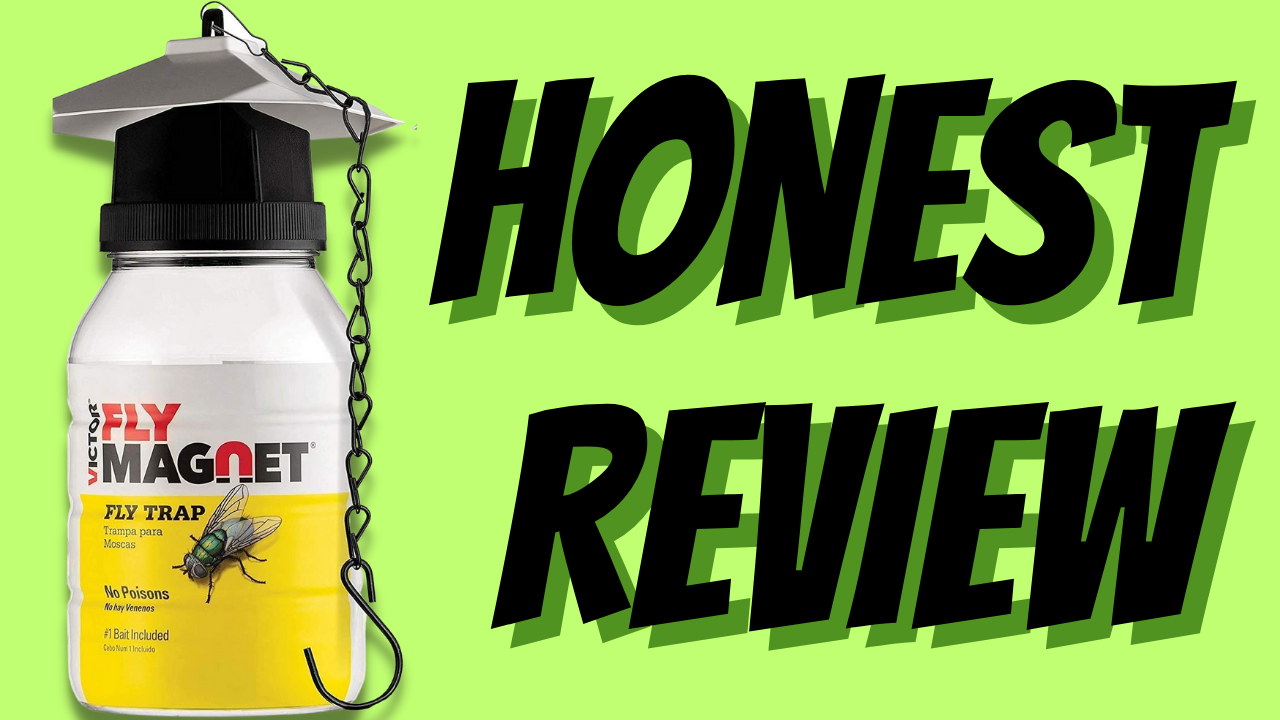 Watch Reusable Outdoor Fly Traps 32 oz - Fly Magnet Bait Trap - on ...