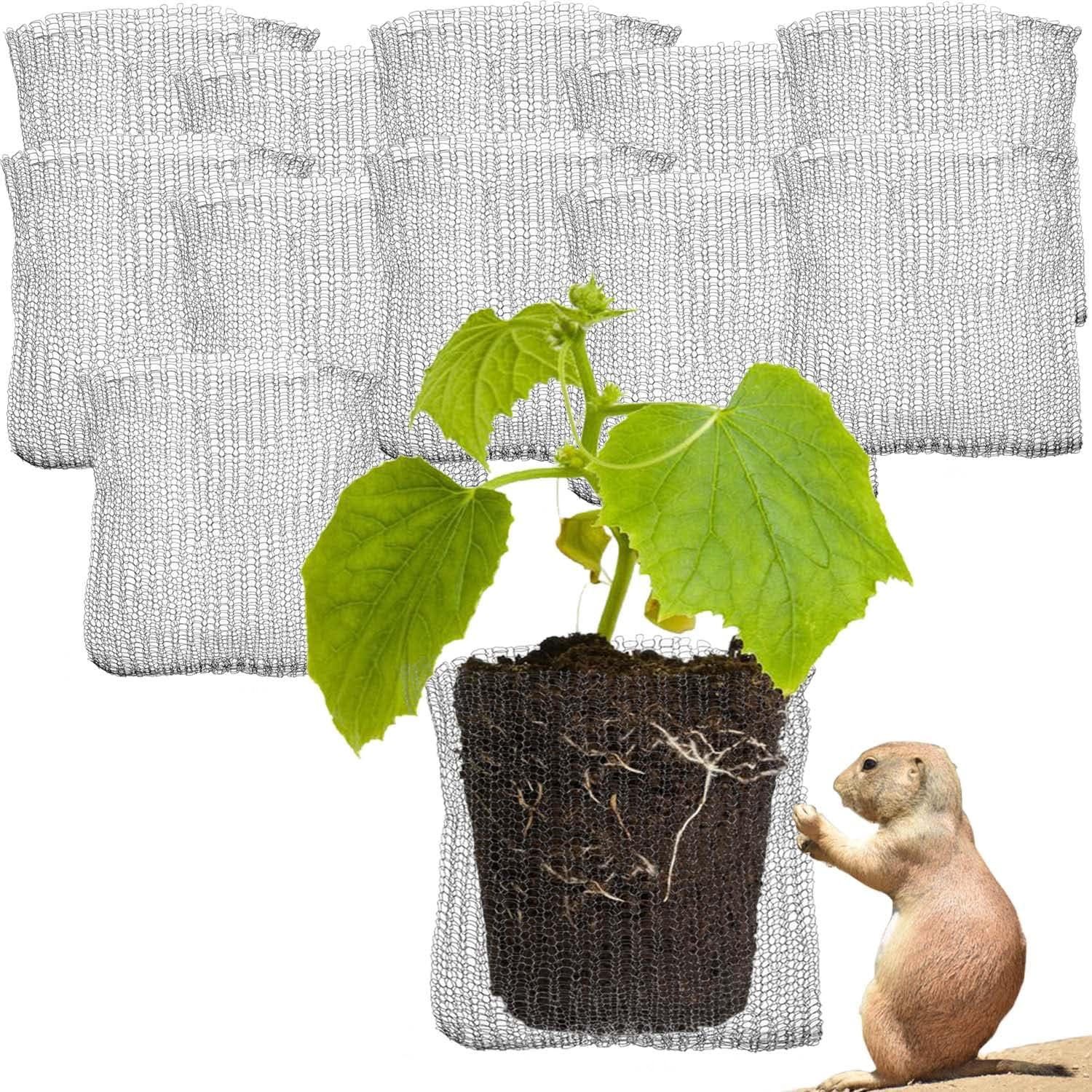 Amazon.com : VOLE KING Plant Baskets – Gopher and Vole Baskets, 1 Quart ...