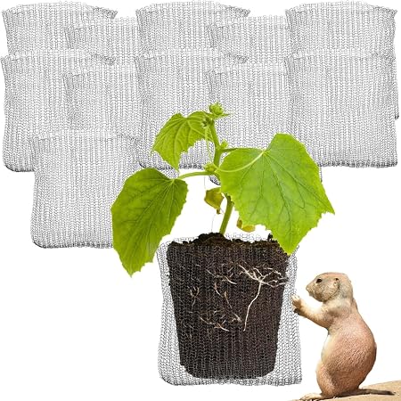 Amazon.com : Digger’s 1-Gallon Root Guard Speed Baskets for Plants ...