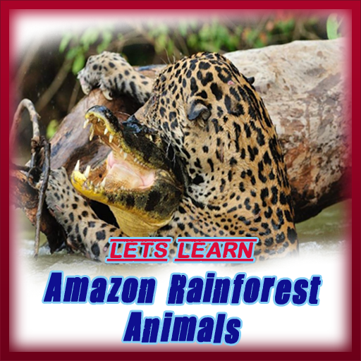 Learn Amazon rainforest Animals-Amazonアプリストアのアプリ