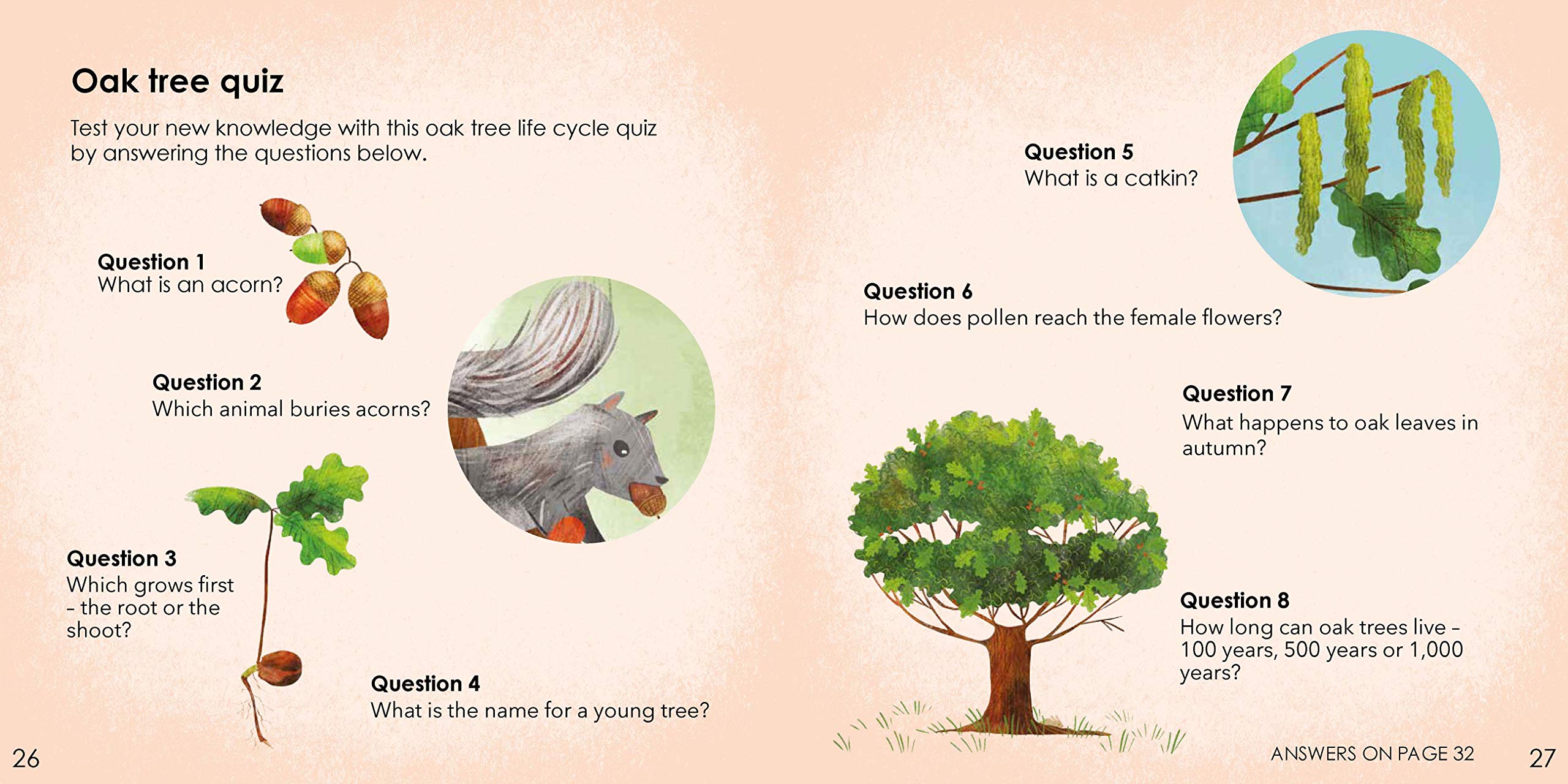 Oak Tree Cycle
