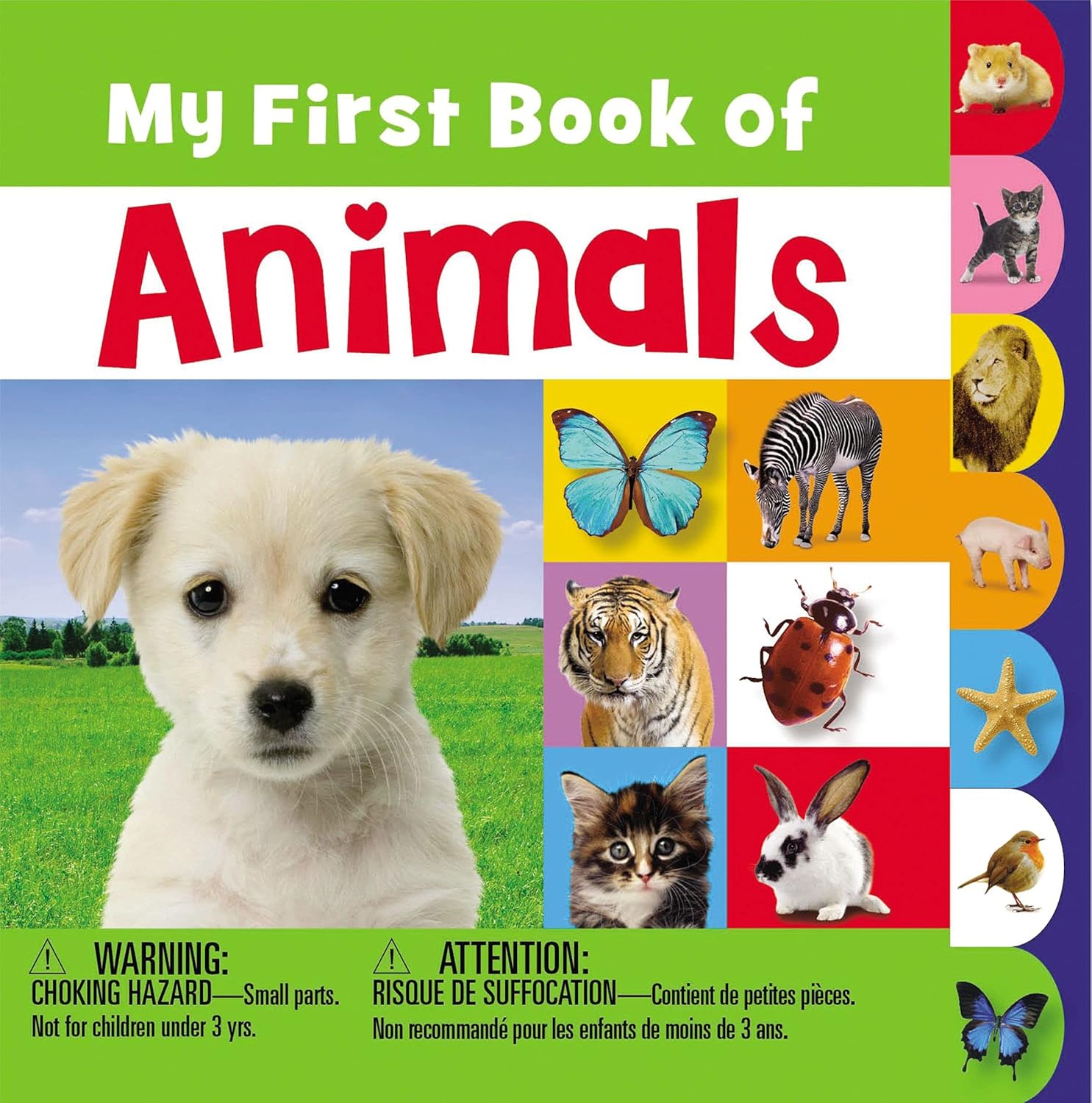 My First Book of Animals: Bicknell, Joanna: 9781780653105: Amazon.com ...