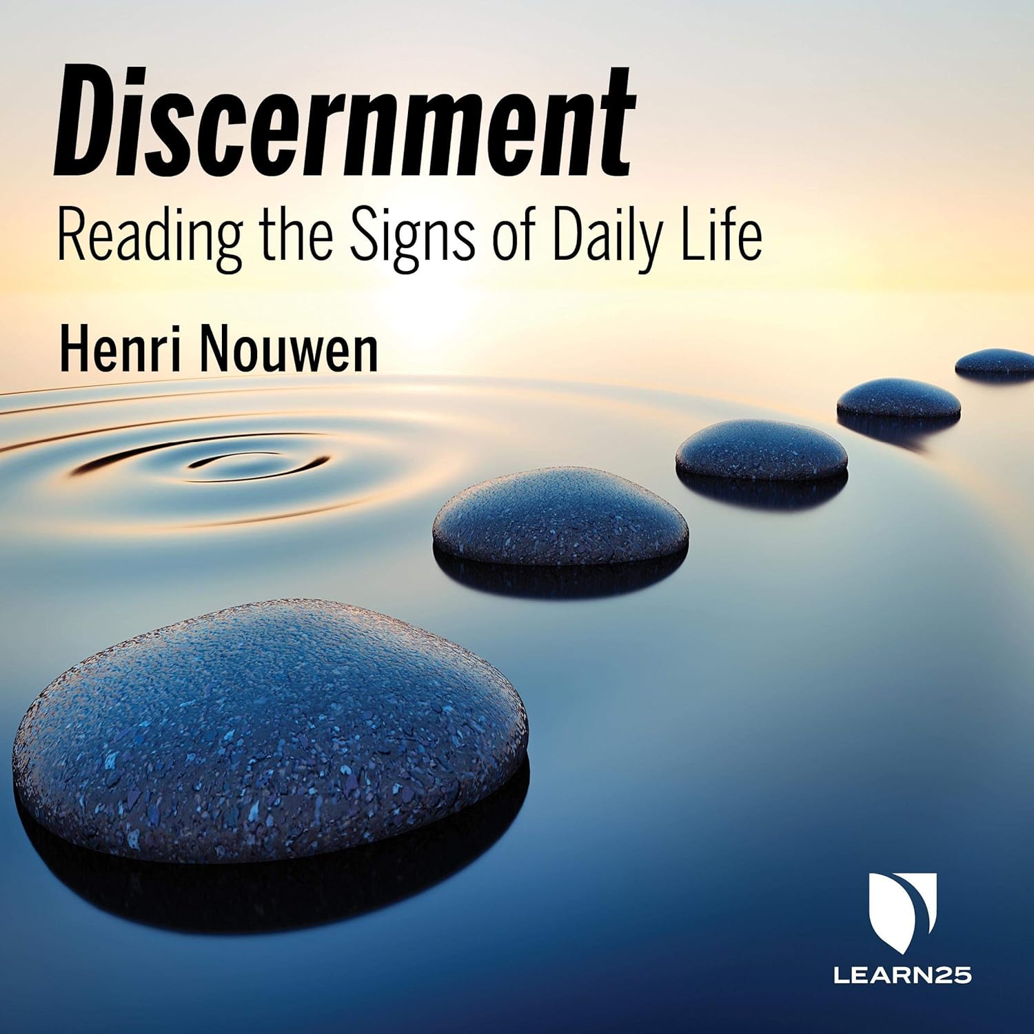 Amazon.com: Discernment: Reading the Signs of Daily Life (Audible Audio ...