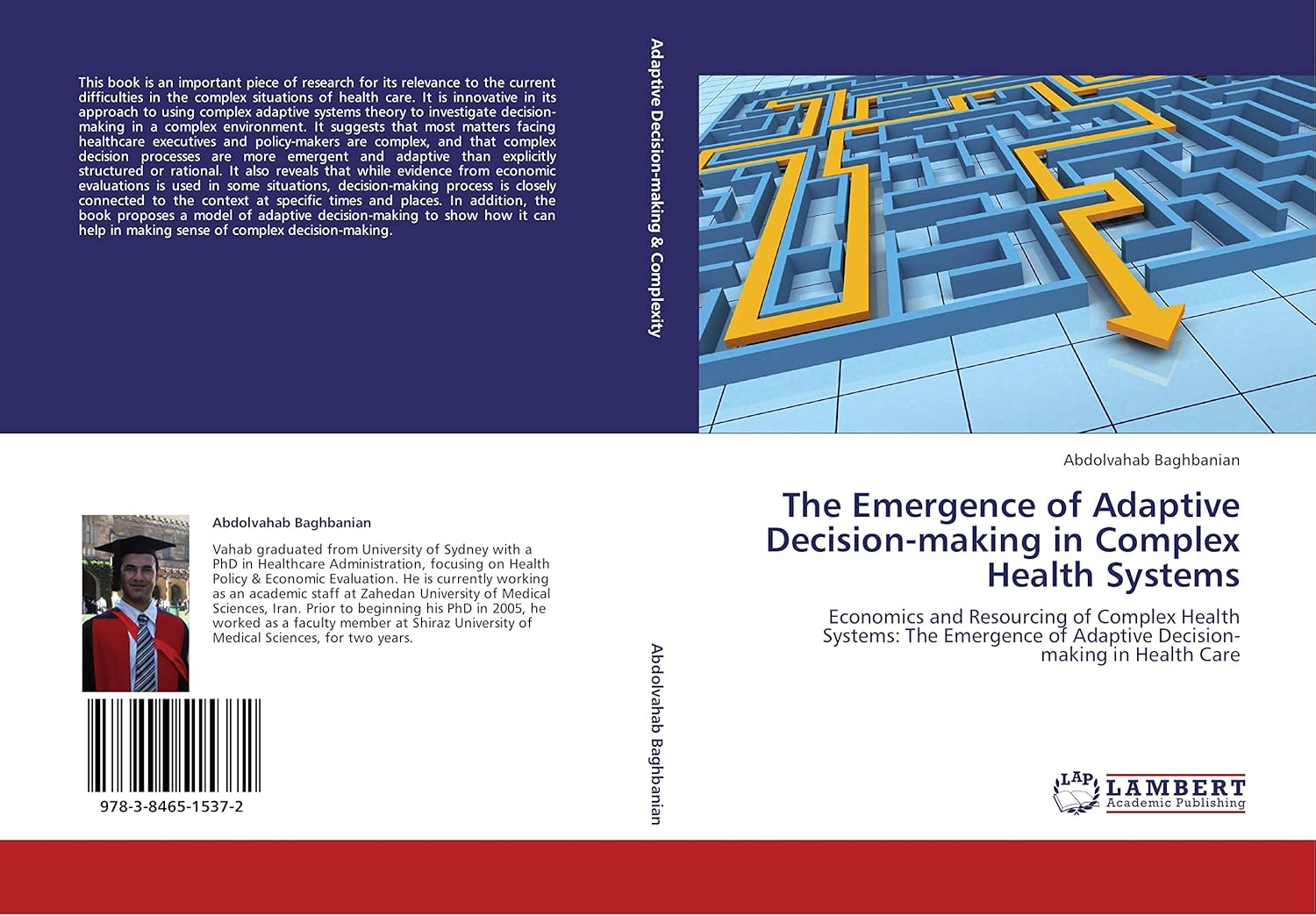 The Emergence of Adaptive Decision-making in Complex Health Systems ...