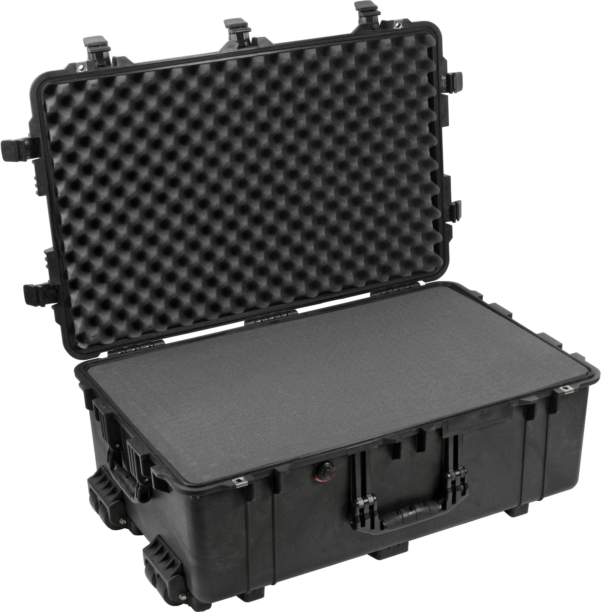Amazon.com: Pelican 1650 Camera Case With Foam, Black : Everything Else