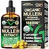 Amazon.com: Organic Mullein Liquid Drops With Chlorophyll for Lung ...