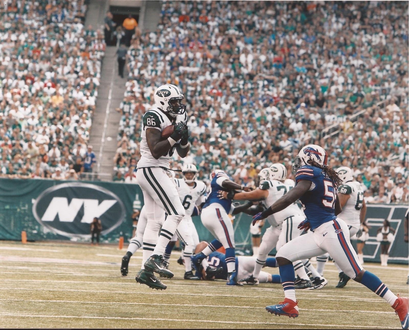 David Nelson Nfl