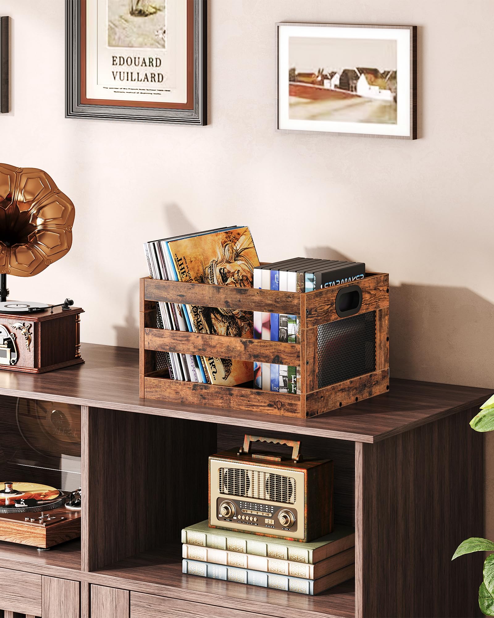 Snapklik.com : Vinyl Record Storage Box, Visual Record Display Holder ...