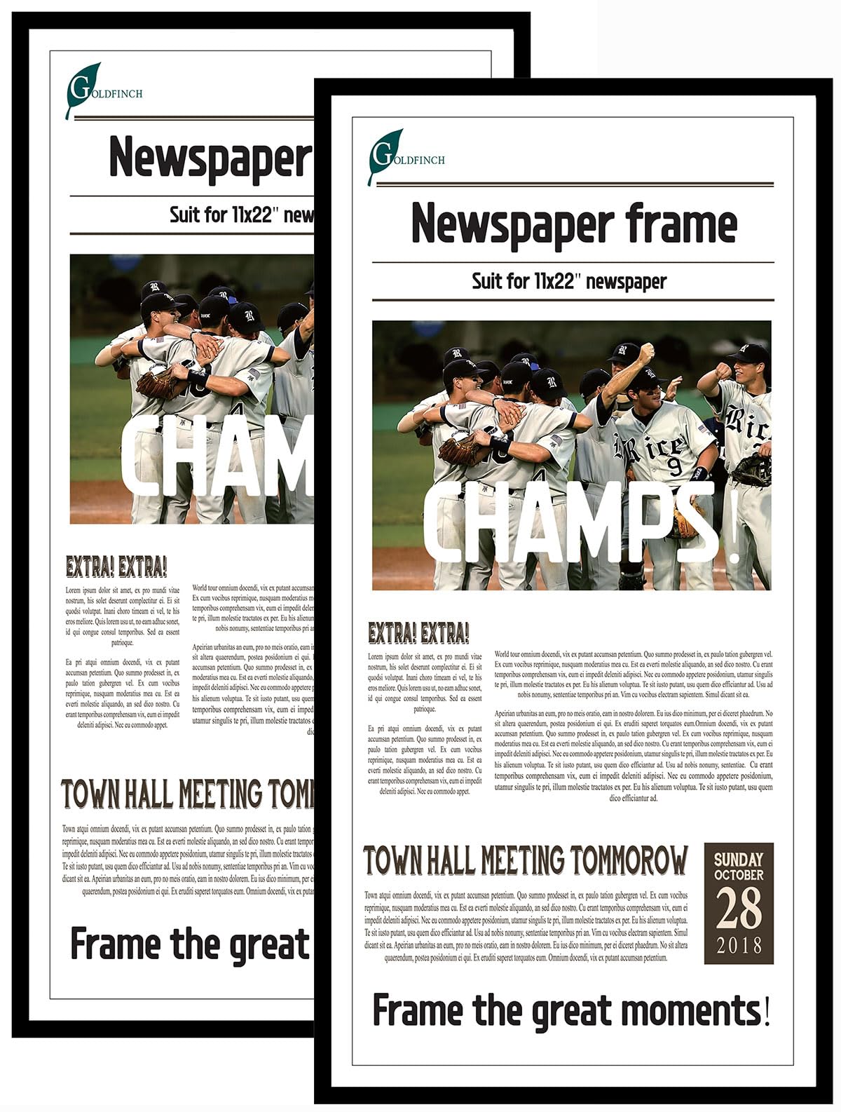 Amazon.com - Goldfinch 2 Packs, 11x22 Newspaper Frame to Hold Assorted ...