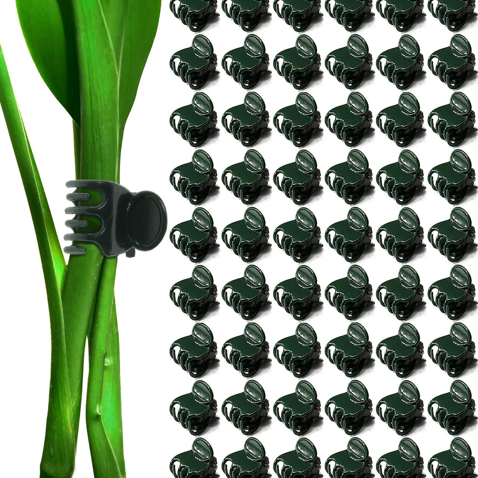 Amazon.com : Toneek 100 Pcs Plant Clips, Plant Support Clips for Vines ...