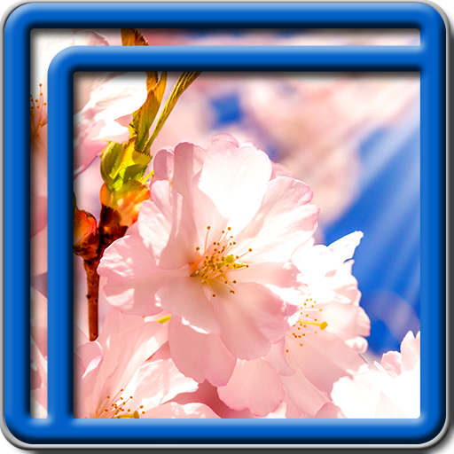Sakura Tree Live Wallpapers:Amazon.com:Appstore for Android