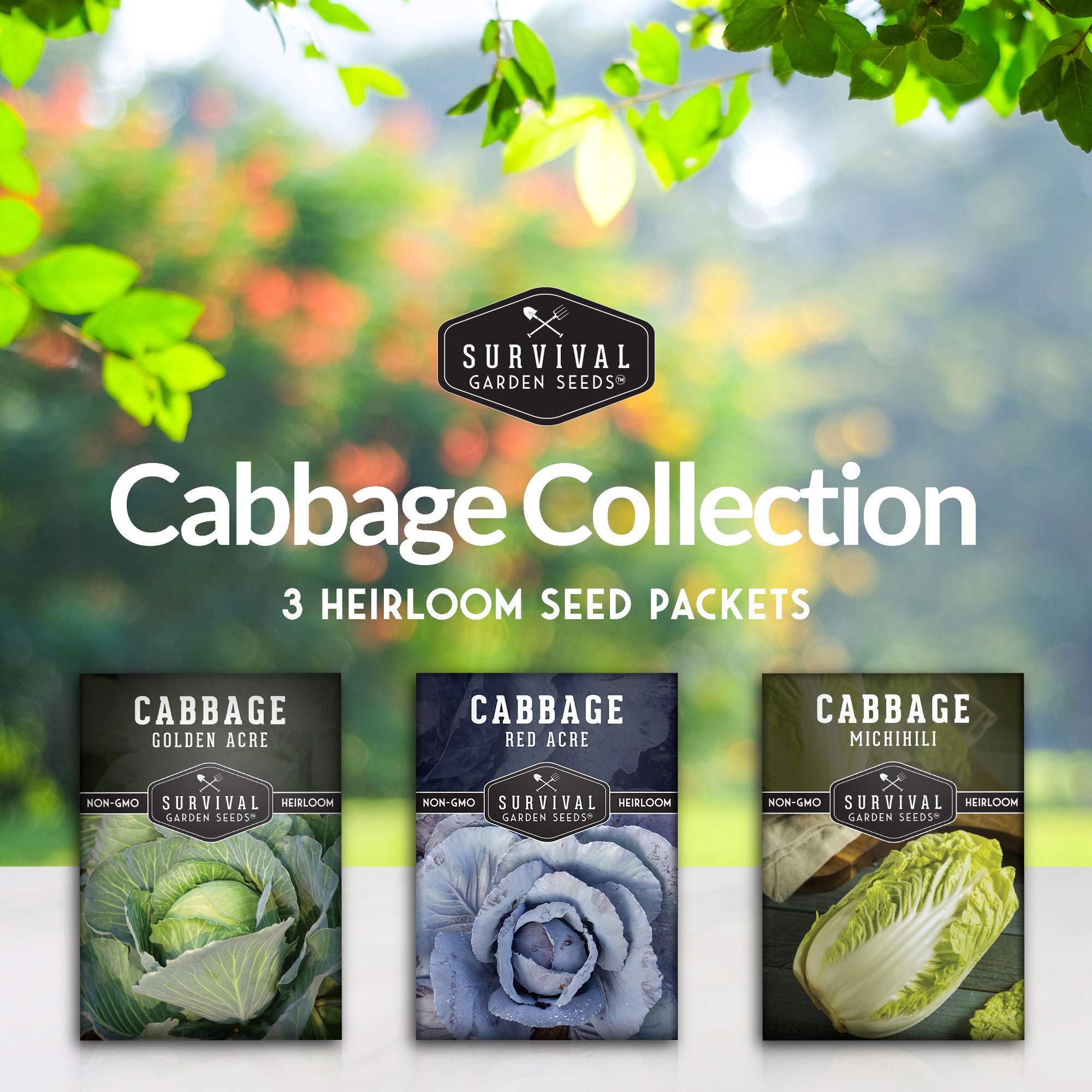 Buy Cabbage Collection Seed Vault - Non-GMO Heirloom Survival Garden ...