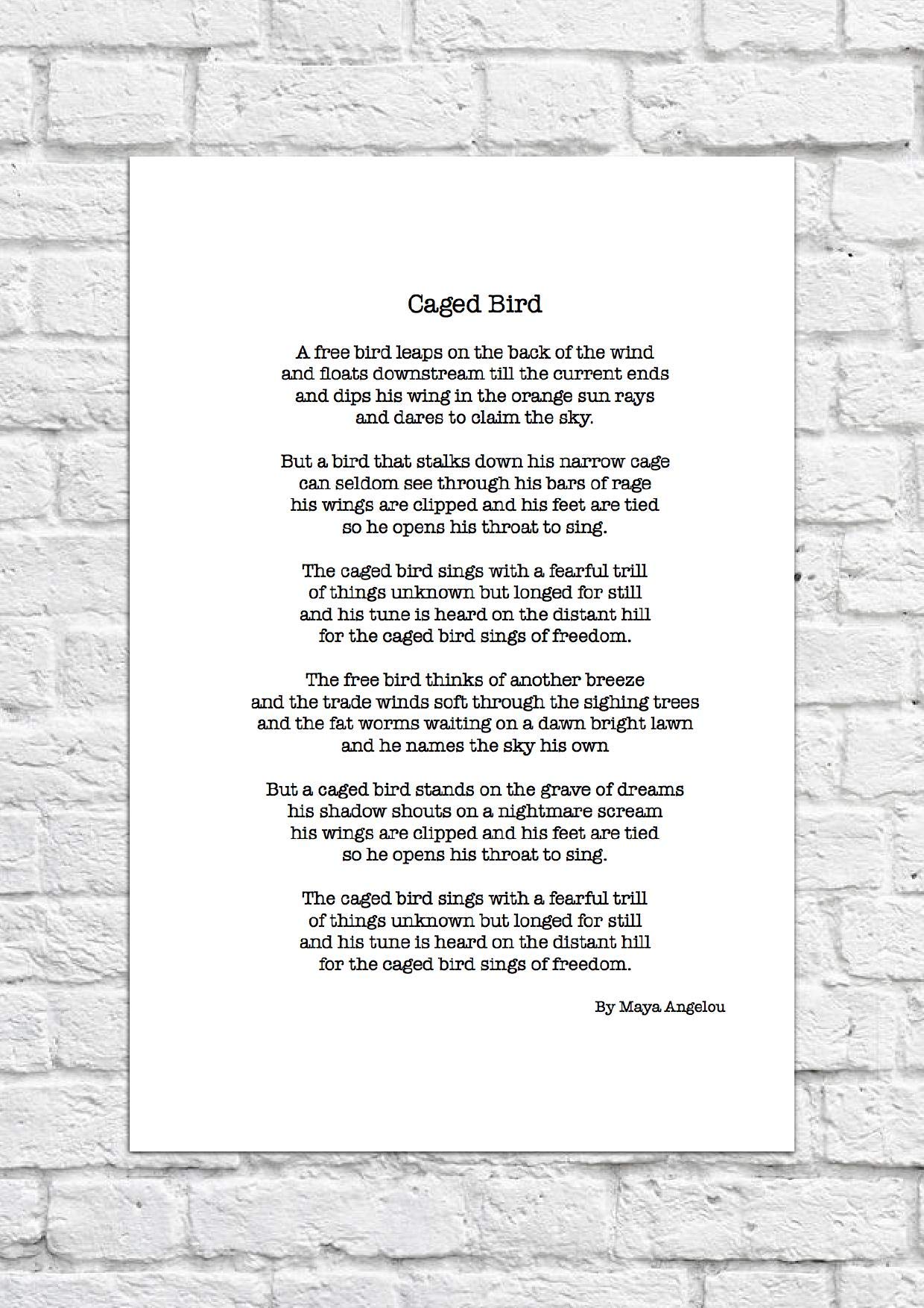 Caged Bird Maya Angelou I Know Why The Caged Bird Sings By Maya