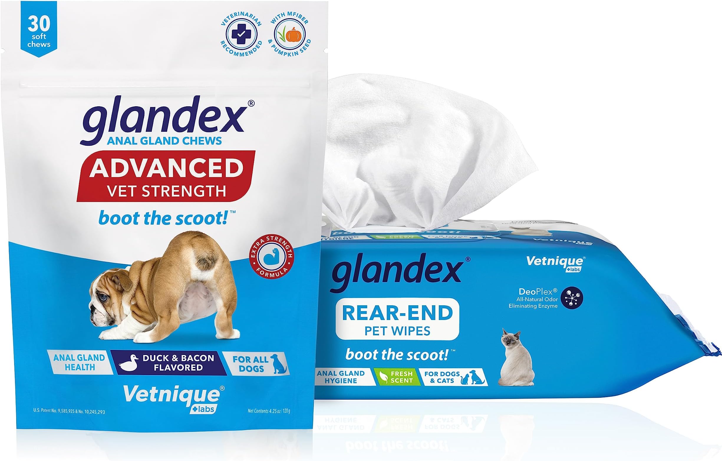 Amazon.com: Glandex Anal Gland Hygienic Pet Wipes 100 Ct Advanced Vet ...