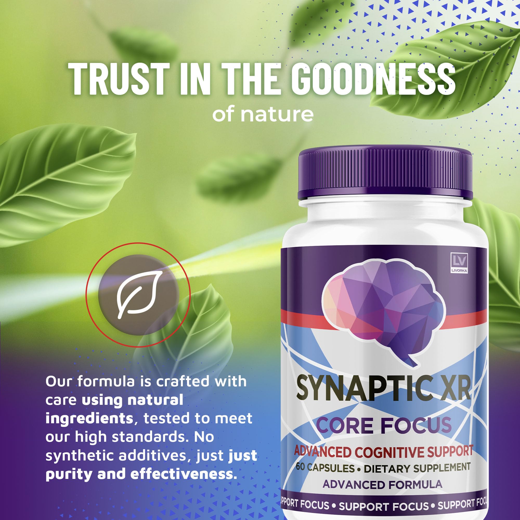 Snapklik.com : (2 Pack) Synaptic XR Capsules, SynapticXR, Synaptic XR Core Focus, Synaptic XR ...
