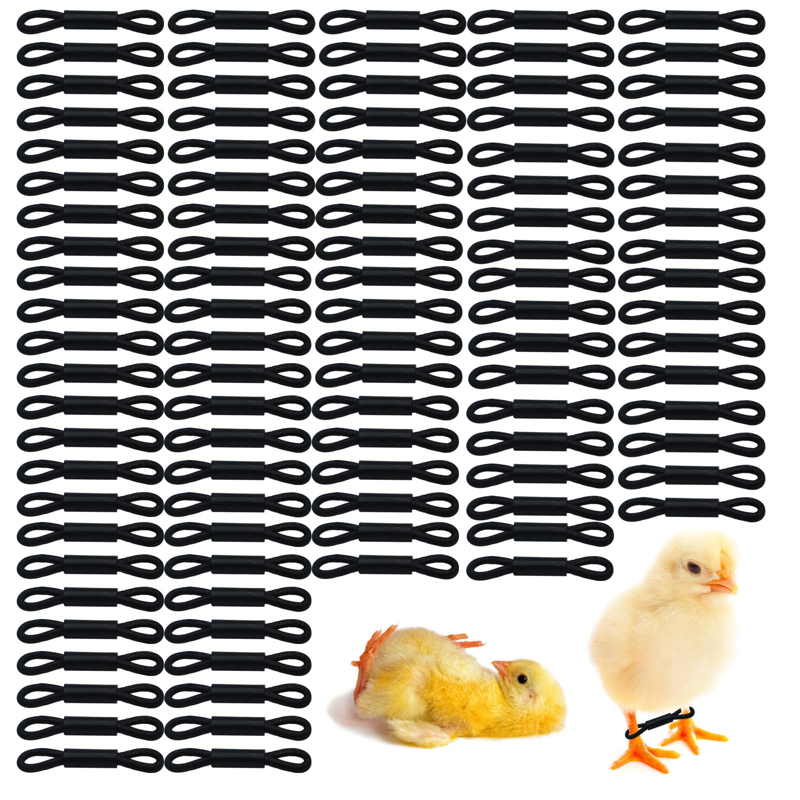 Amazon.com : Baby Chicken Supplies,100 Pcs Baby Chicken Splay Leg ...