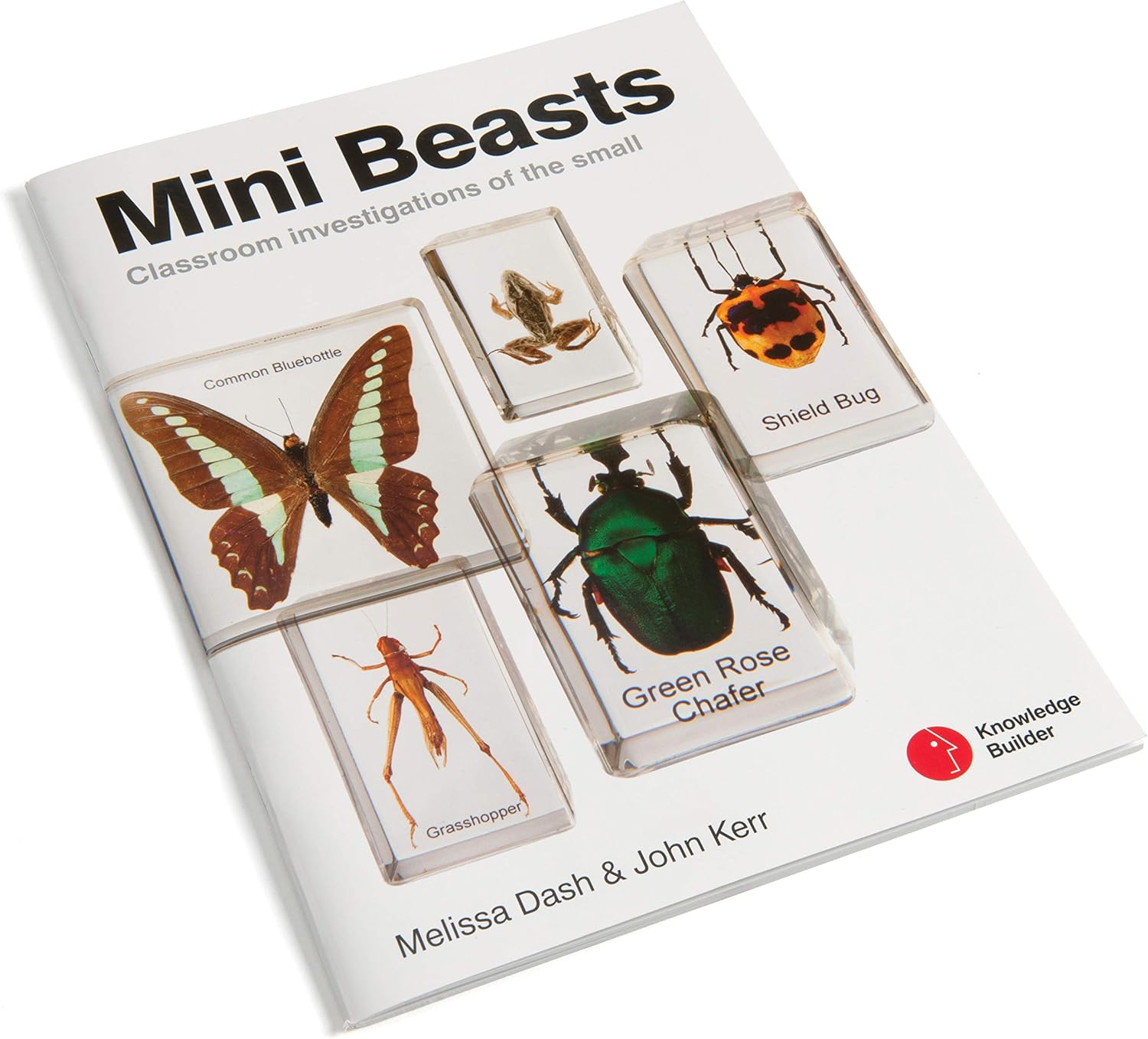 Mini Beast Book – TopToy