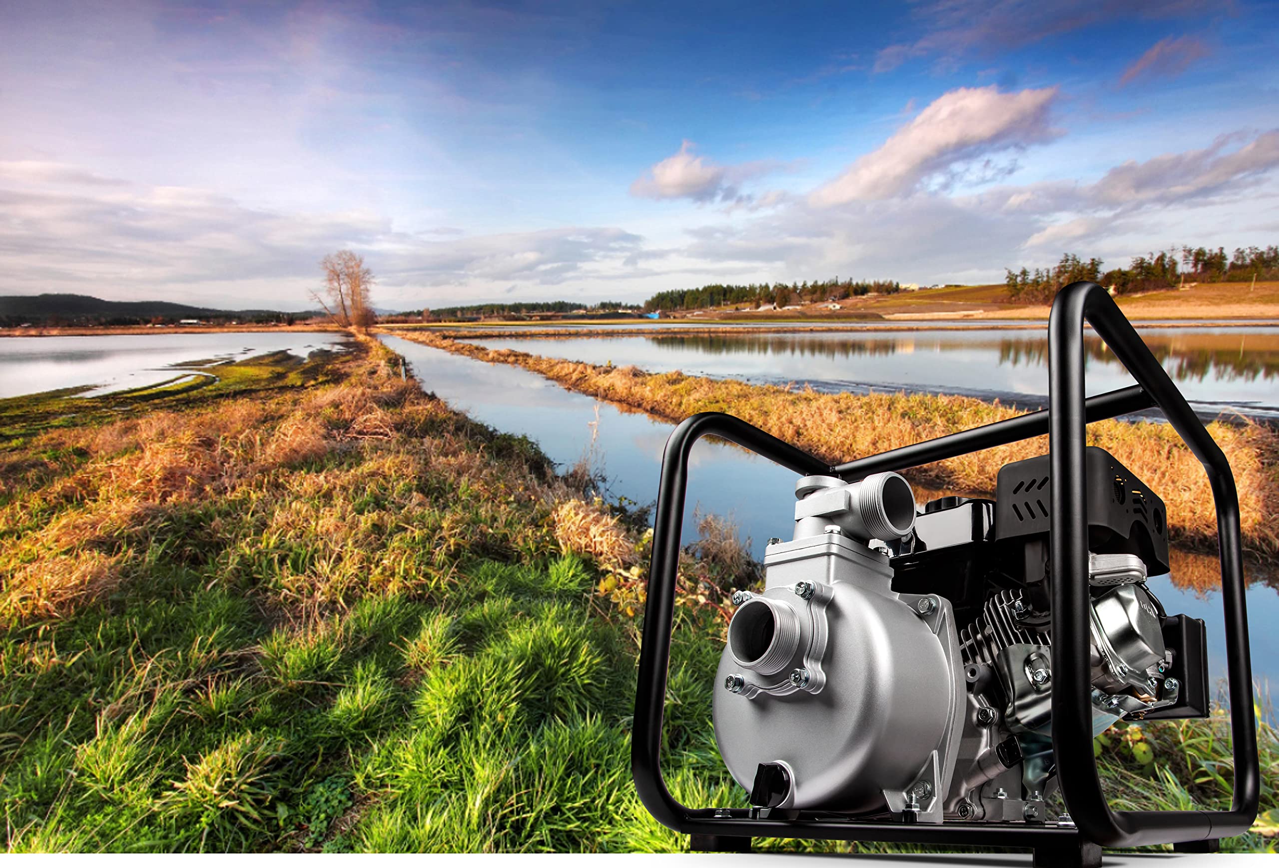 Buy Red Lion 617034 6RLAG-2LST 208cc, 150 GPM OHV Engine Driven ...