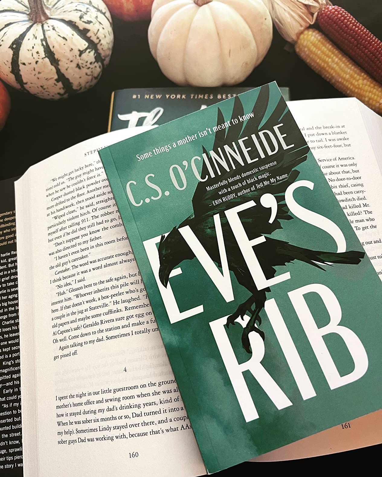 Amazon.com: Eve's Rib: 9781459749801: O'Cinneide, C.S.: Books