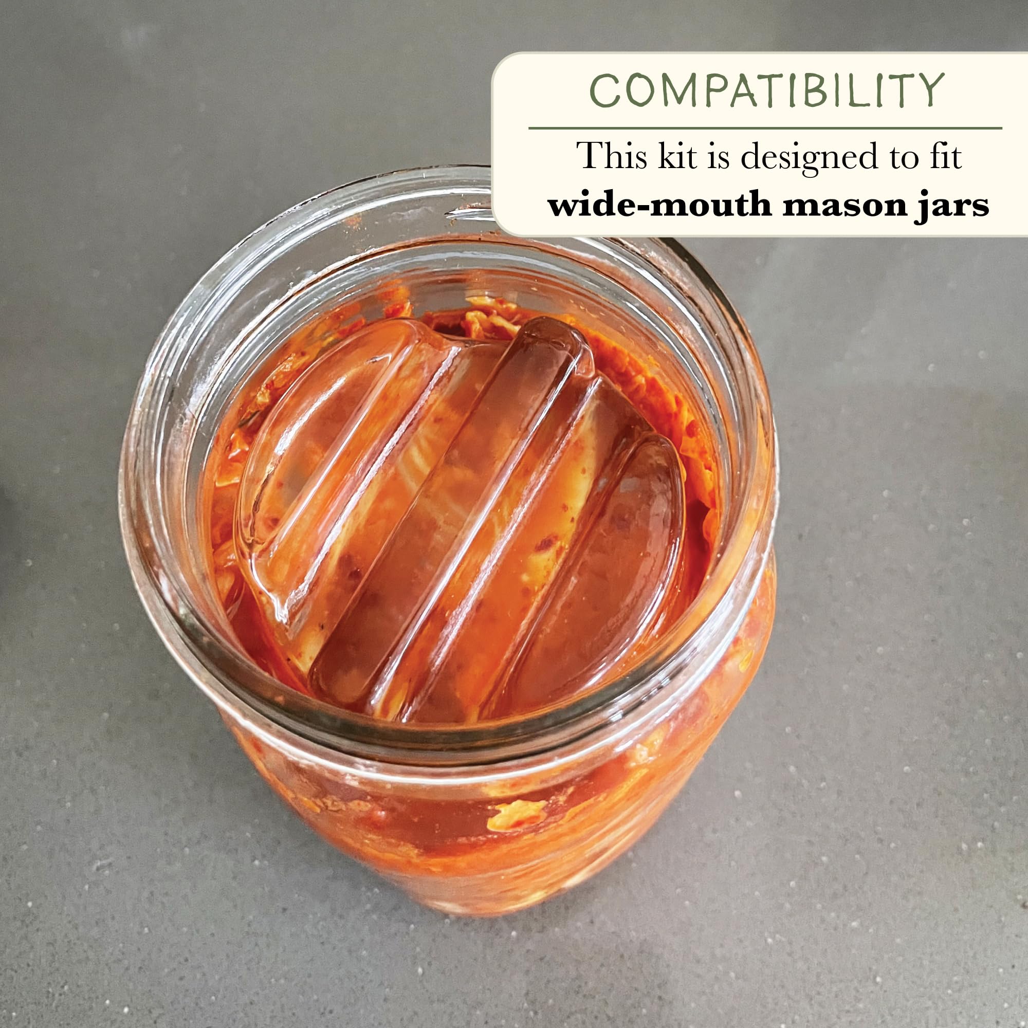 Snapklik.com : Fermentation Kit - Set Of 2 Glass Fermentation Weights ...