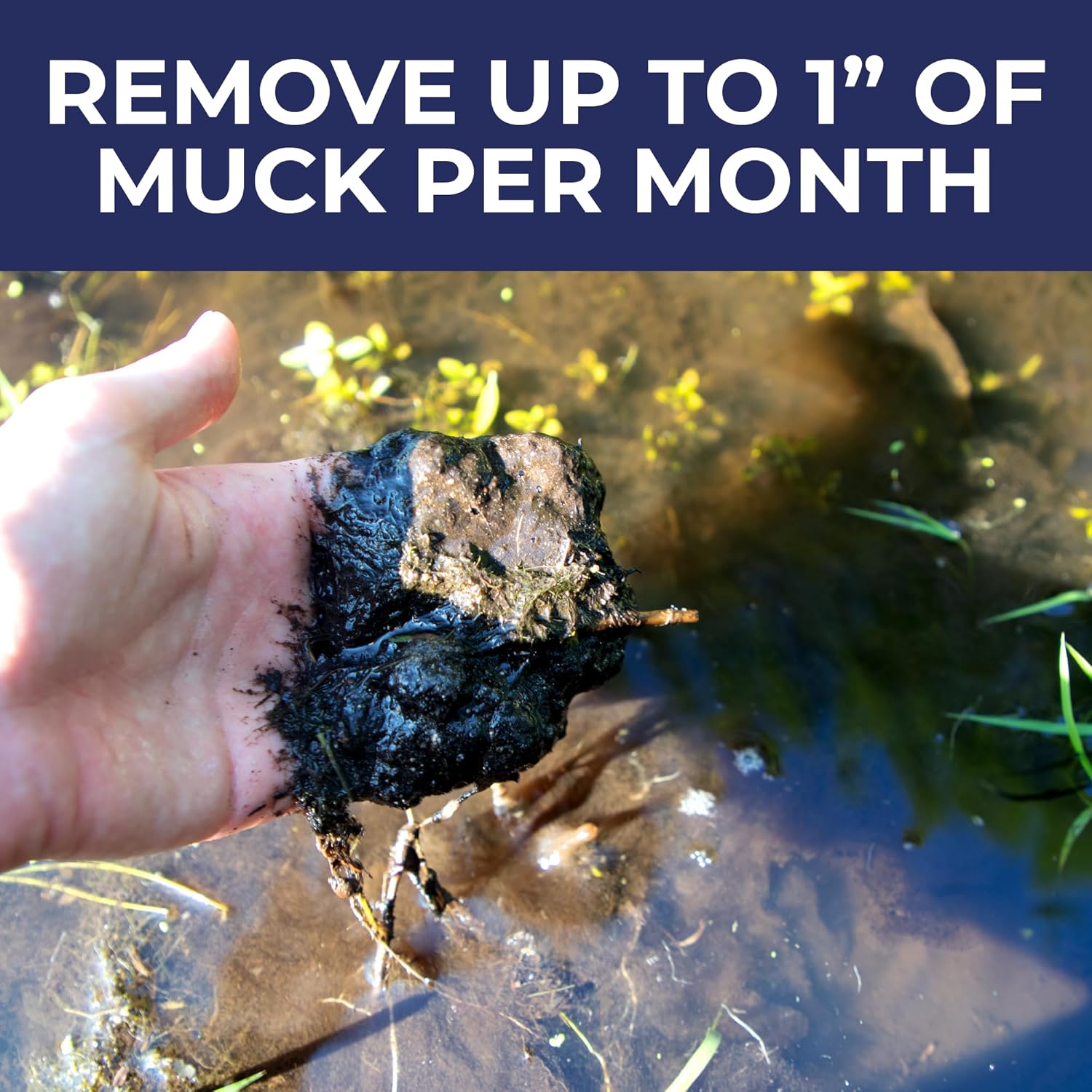 Ultimate Natural Pond Muck Remover, Clears Away Philippines | Ubuy