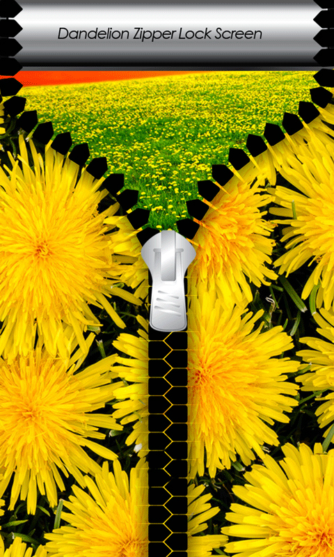 Dandelion Zipper Lock Screen - App on Amazon Appstore