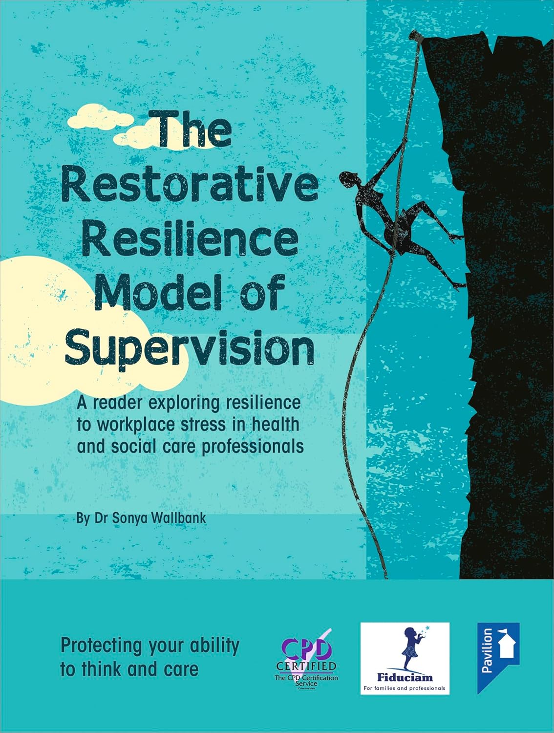 The Restorative Resilience Model of Supervision: A Reader Exploring ...