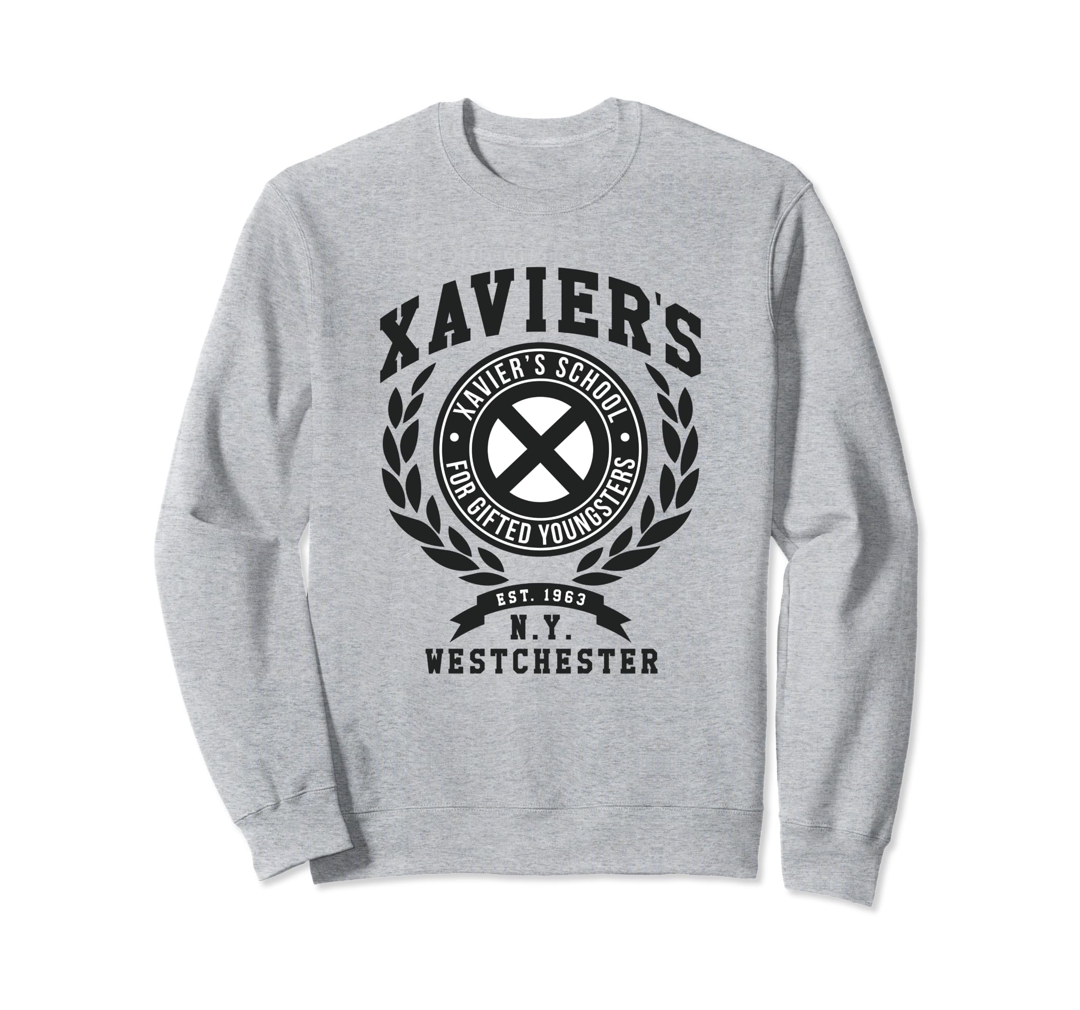 Amazon.com: Marvel X-Men Xavier's School For Gifted Youngsters N.Y ...