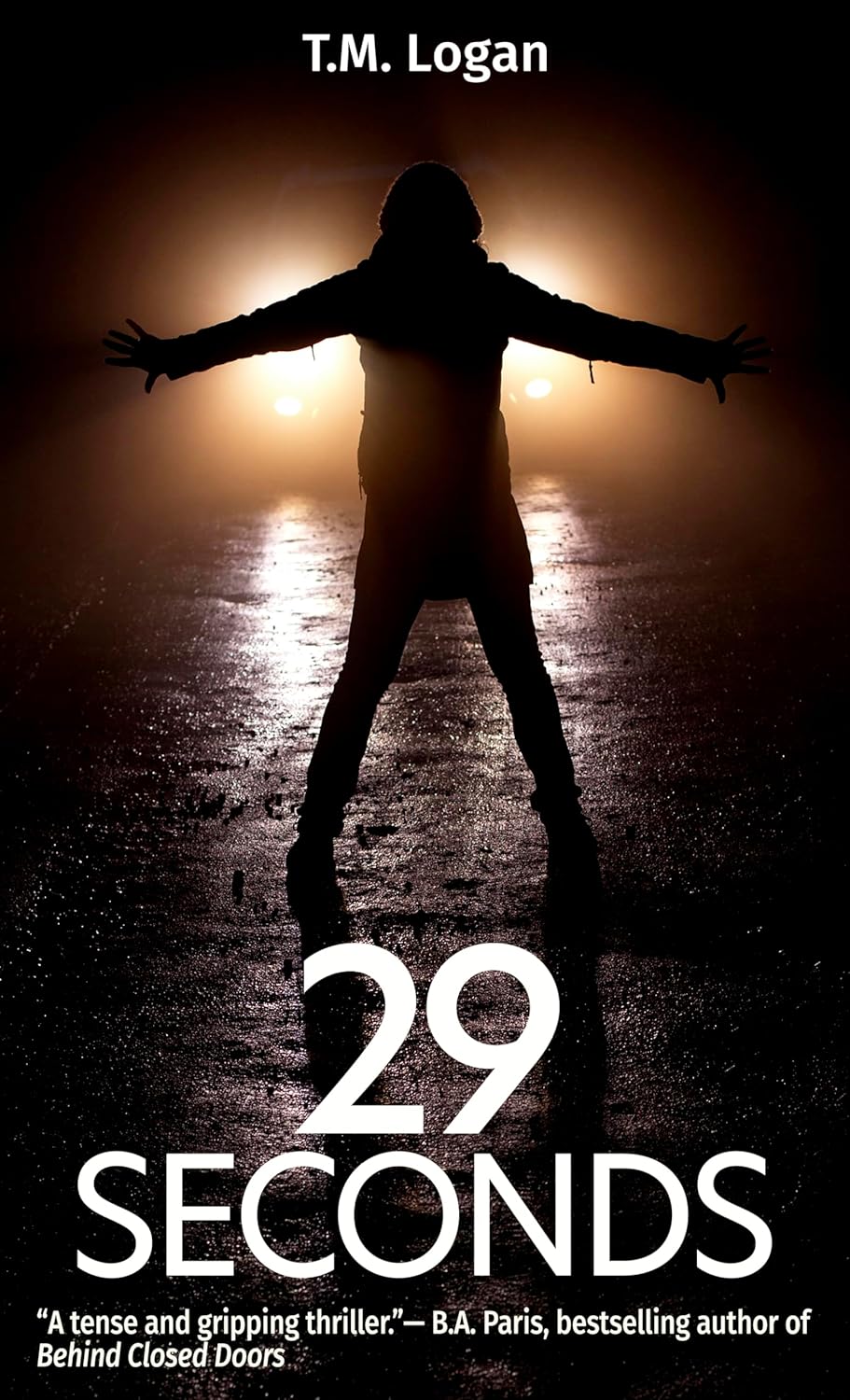 29 Seconds: Logan, T. M.: 9781432873158: Amazon.com: Books