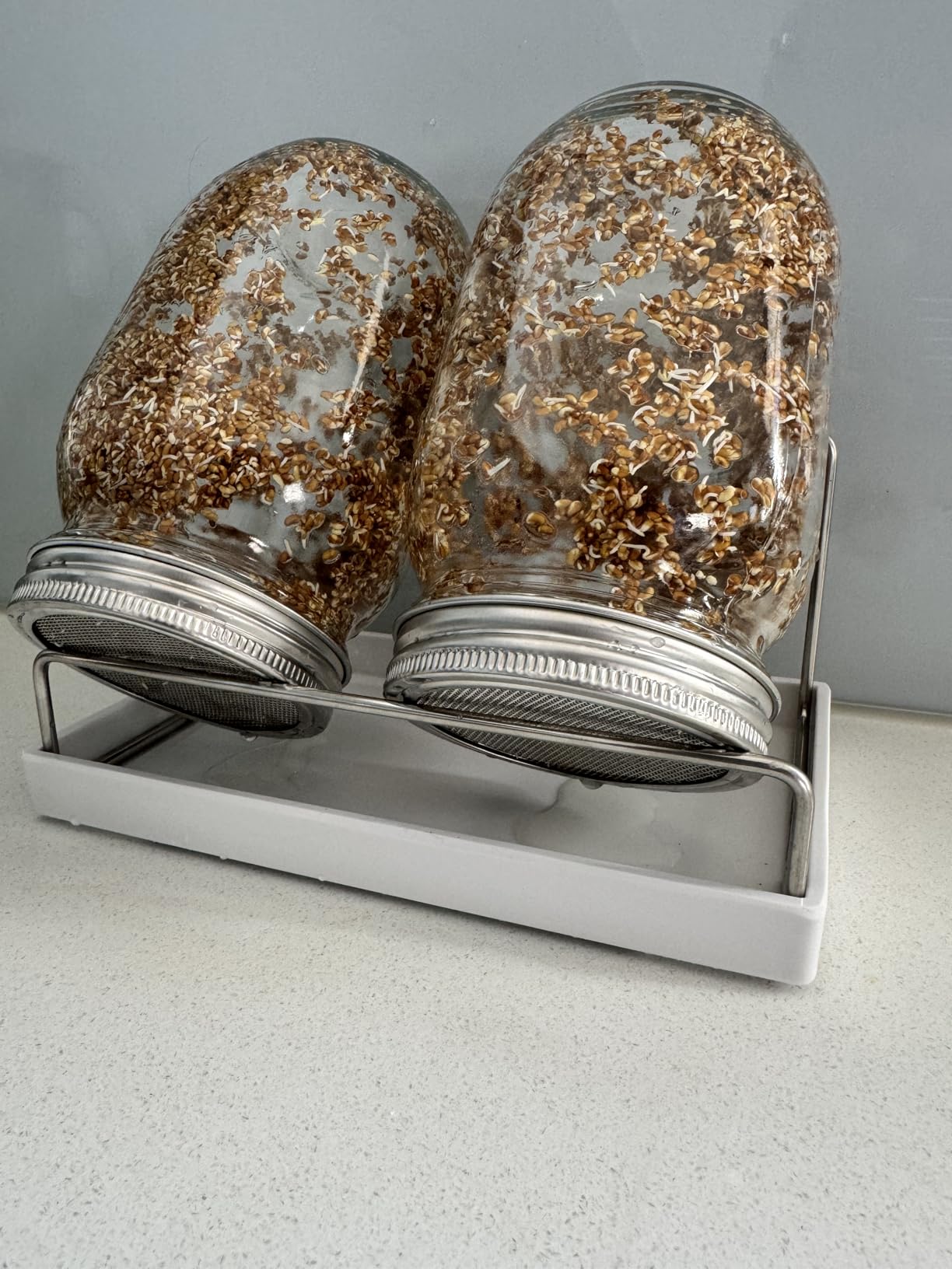 Complete Mason Jar Sprouting Kit. 2 Wide Mouth Quart Sprouting Jars ...