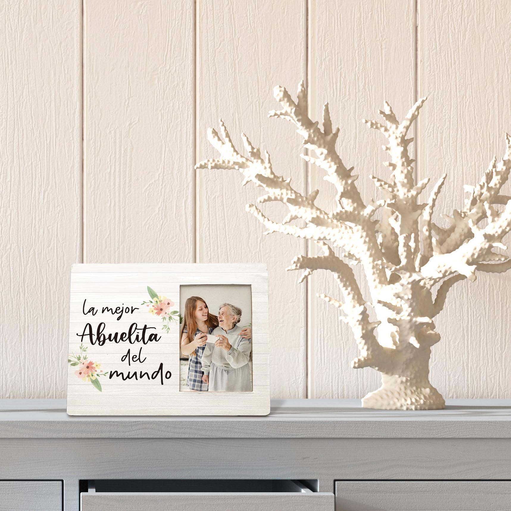 Safito 316XR-XK Home & Kitchen > Home Décor Products > Photo Albums ...