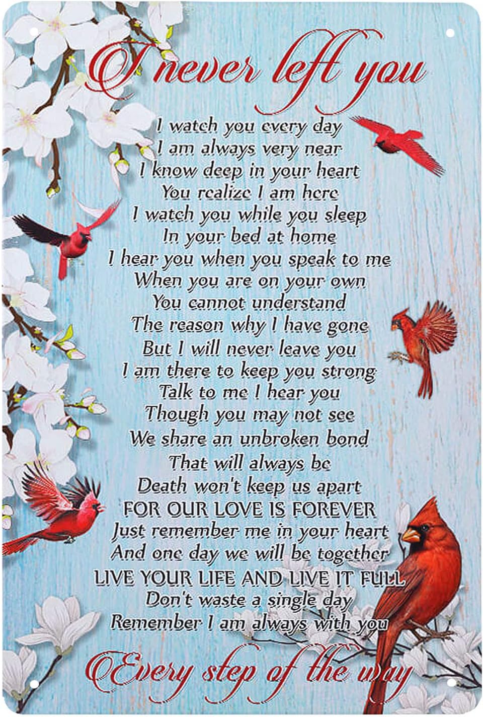 Amazon.com: Super durable Vintage Tin Sign Cardinal Bird2 I Never Left ...