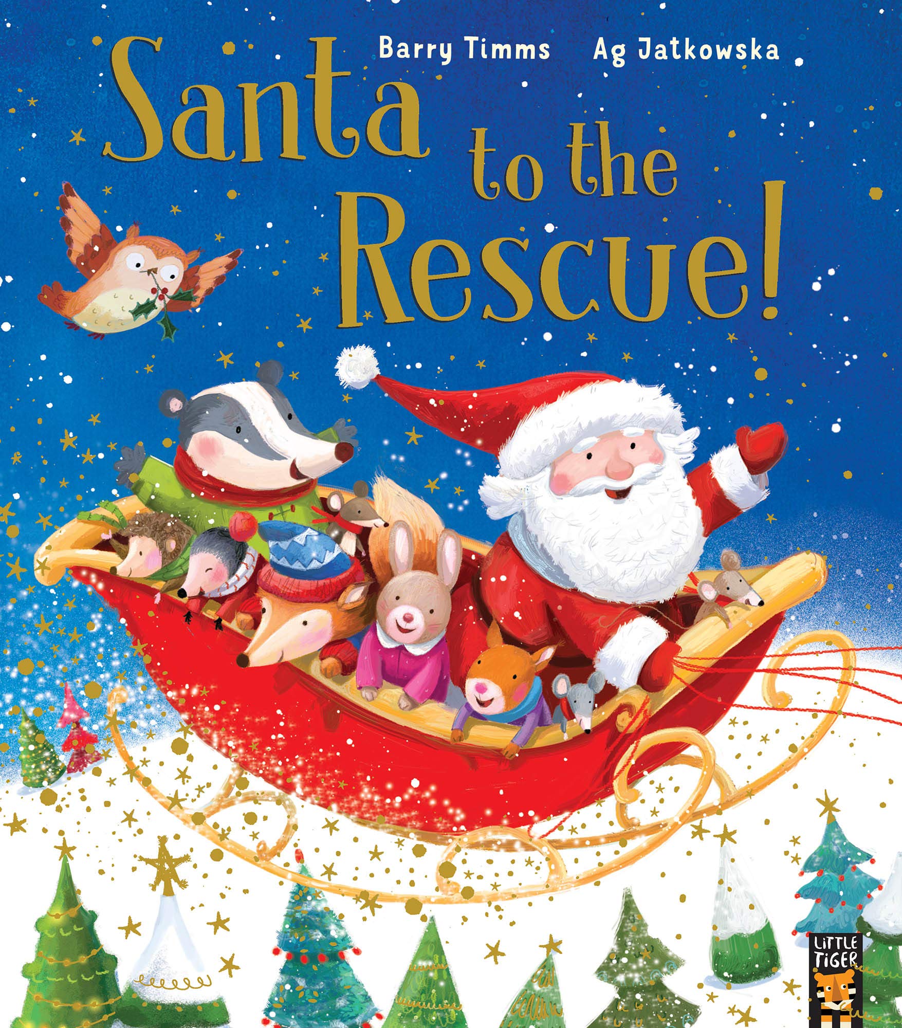 Santa to the Rescue!: Amazon.co.uk: Timms, Barry, Jatkowska, Ag ...