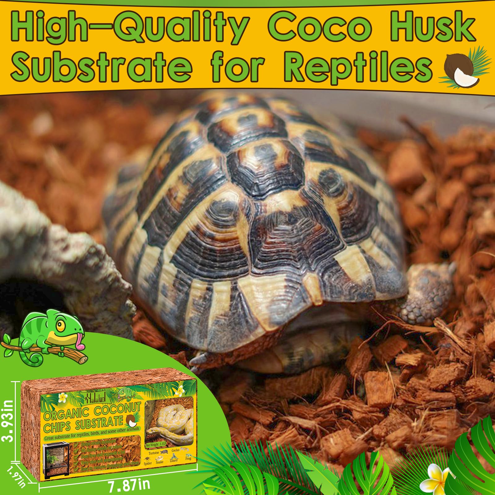Snapklik.com : 6Pack Compressed Coconut Chips Brick Natural Coconut ...