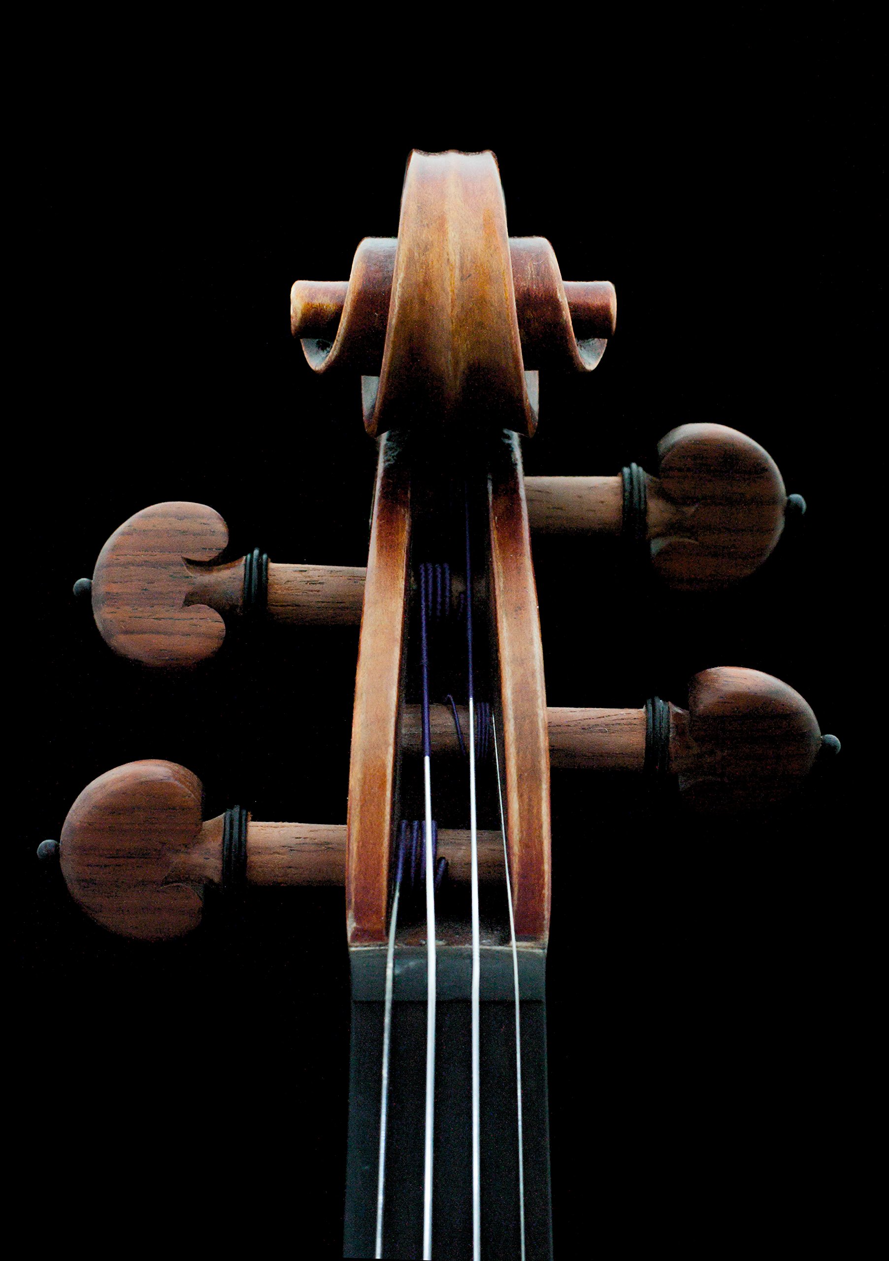 Sky Euro-performer Soloist Series Violin Grand Mastero Level Antique ...