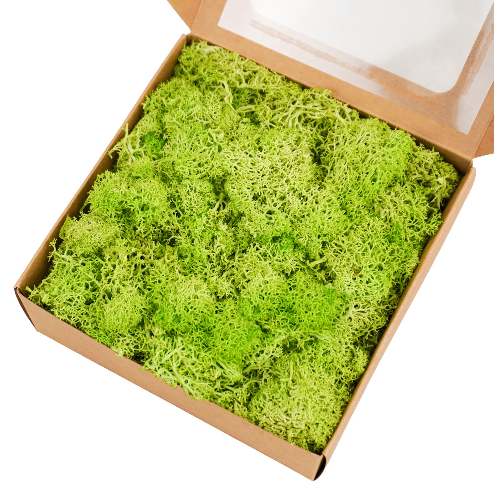 Snapklik.com : Moss Preserved,Fake Green Moss For Potted Plants ...